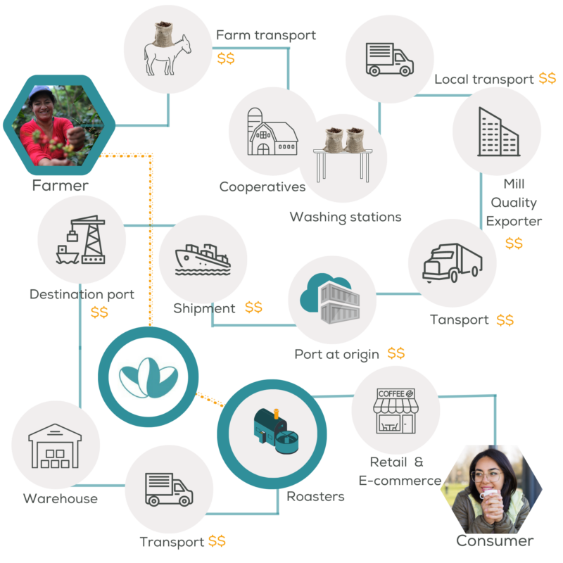 Transparency in the Coffee Value Chain - Fantine