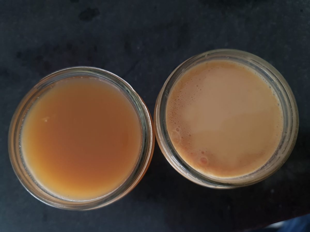 Microorganisms: The Key to Body, Acidity and Coffee Flavors - Fantine